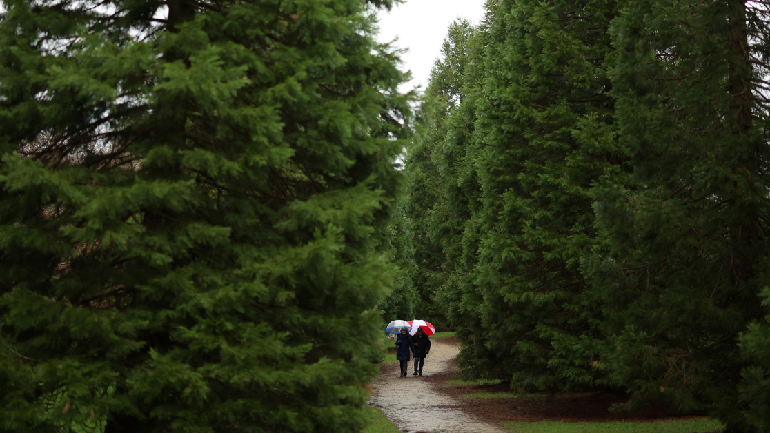 Türkiye launches Zero Waste Encyclopaedia ahead of COP31 | AnewZ