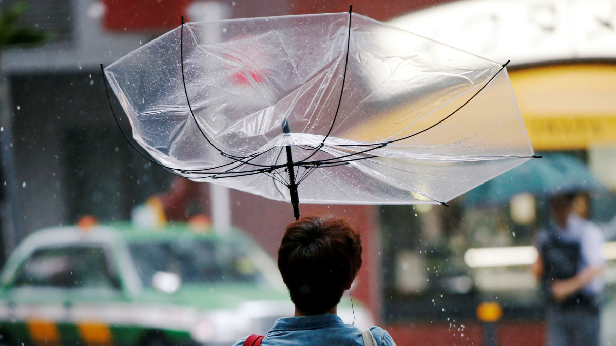 Typhoon Jangmi shuts Okinawa transport and cuts power | AnewZ