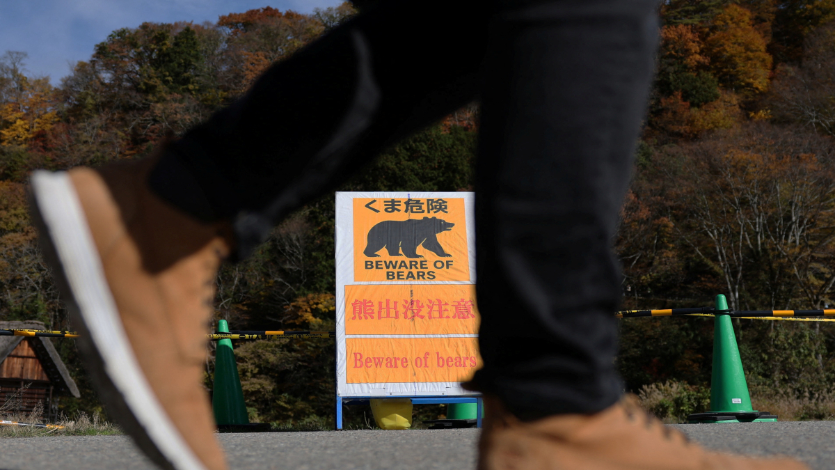 Bear sighting shuts 94 schools in Japan city | AnewZ